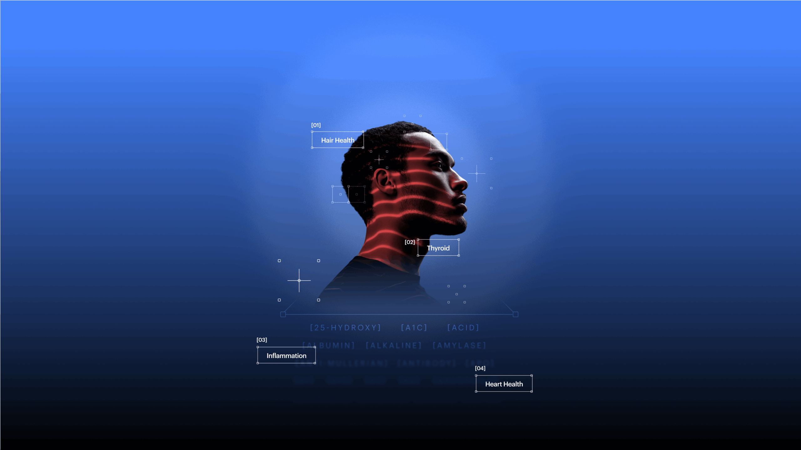 Introducing Blood Vision: At-home testing for 100+ biomarkers now in ...