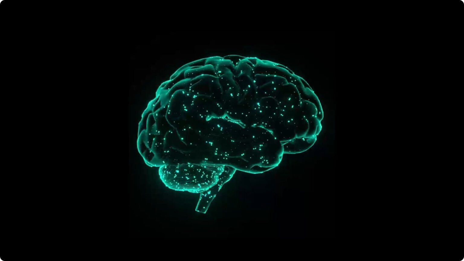 Introducing Brain Waste Clearance: A new marker for brain recovery ...